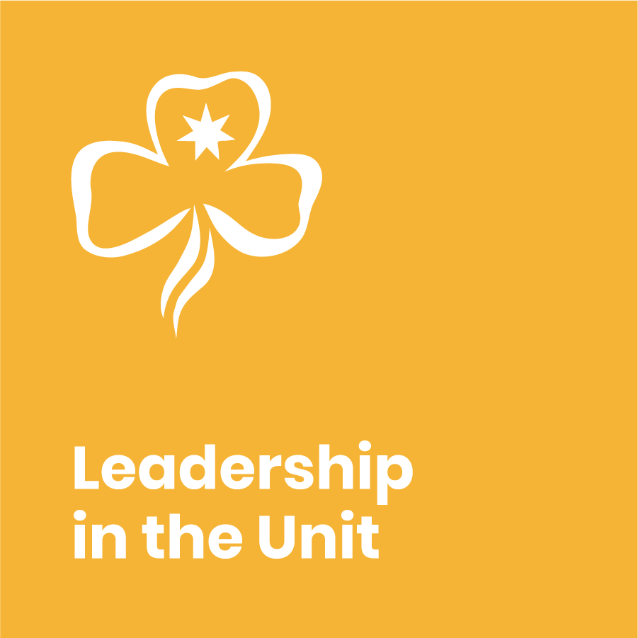 Leadership in the Unit